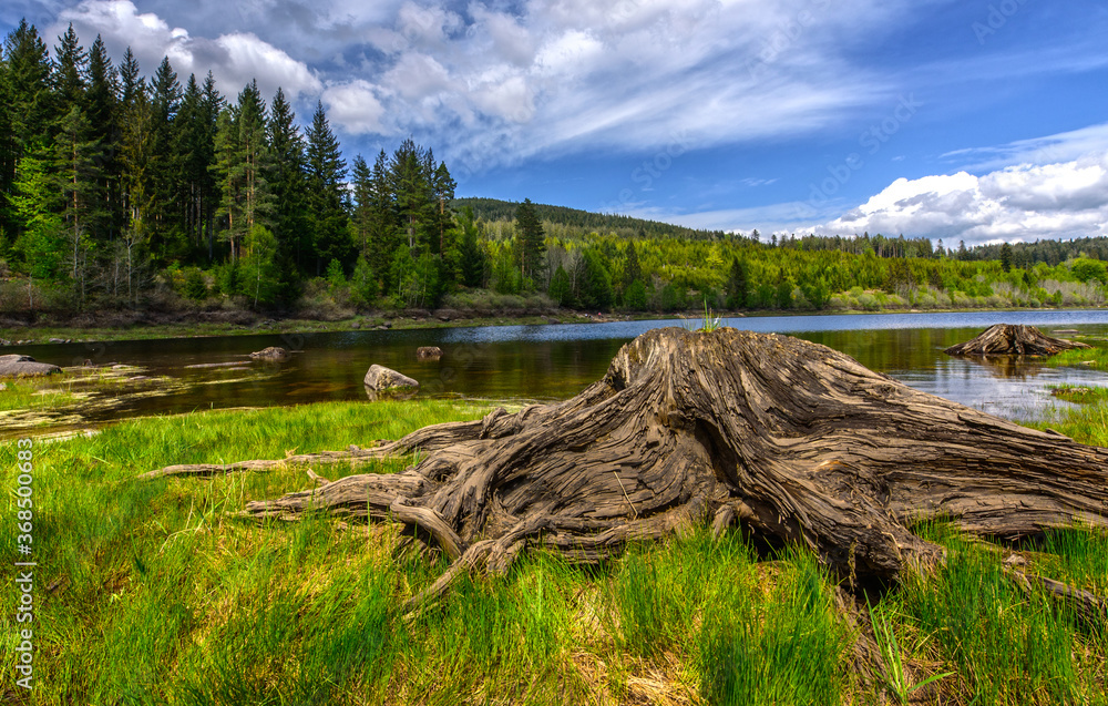 Ein See mit klarem Wasser im Wald an der Schwarzenbachtalsperre Stock ...