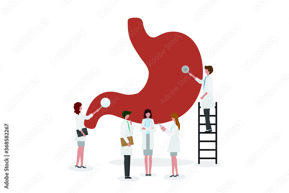 A team of doctors checkup the stomach. People examine the organ and ...