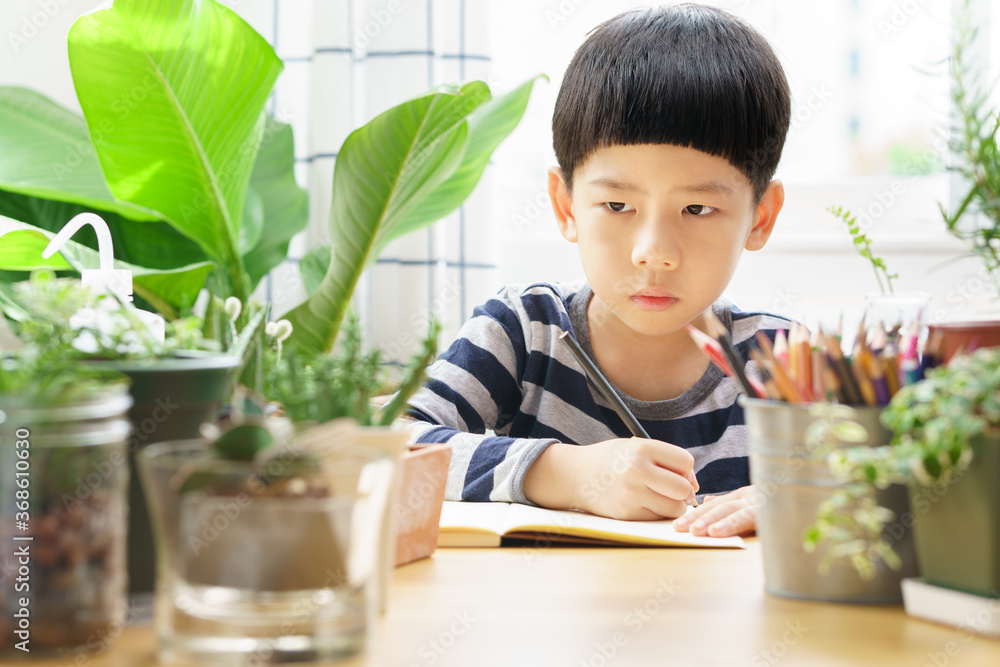 Cute young Asian child look at plants with concentration and ...