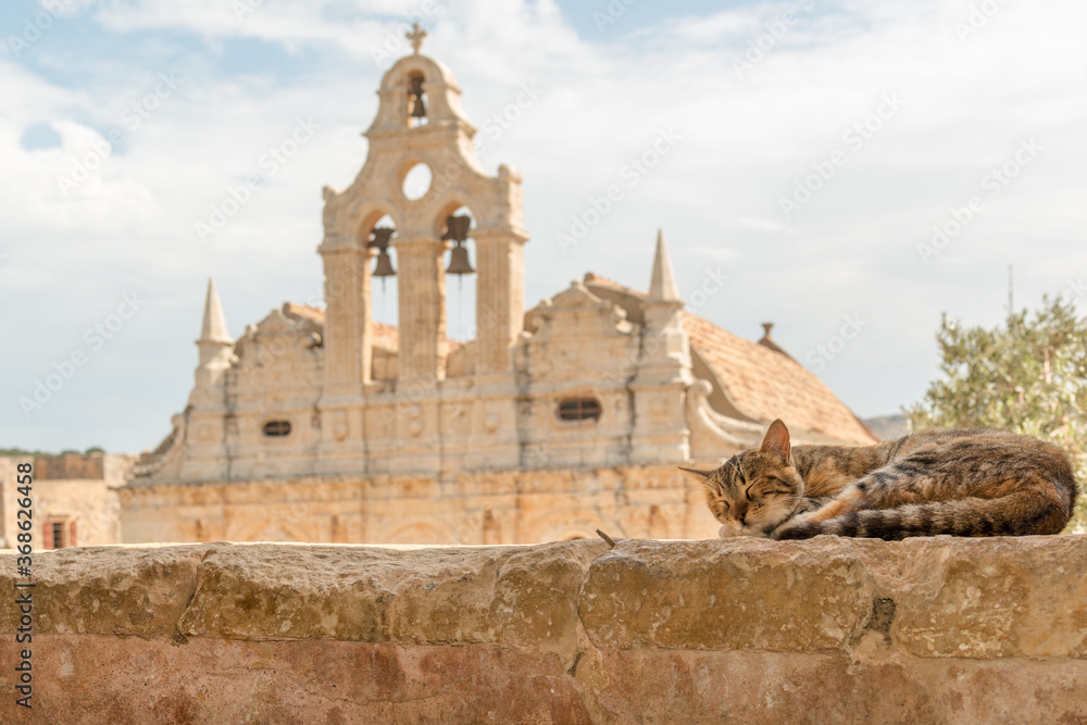 Cute sleeping Cretan cat with the view of Greek Orthodox Arkadi ...