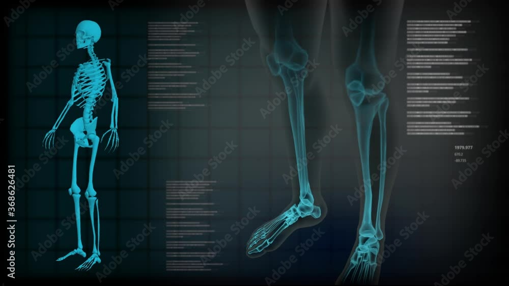 Video Stock Medical seamless looping background with x-Ray roentgen ...