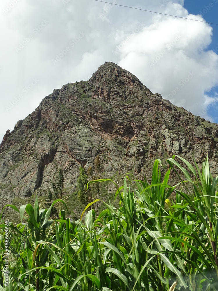 South America, Peru, the Cusco - Machu Picchu - Cusco railway line ...