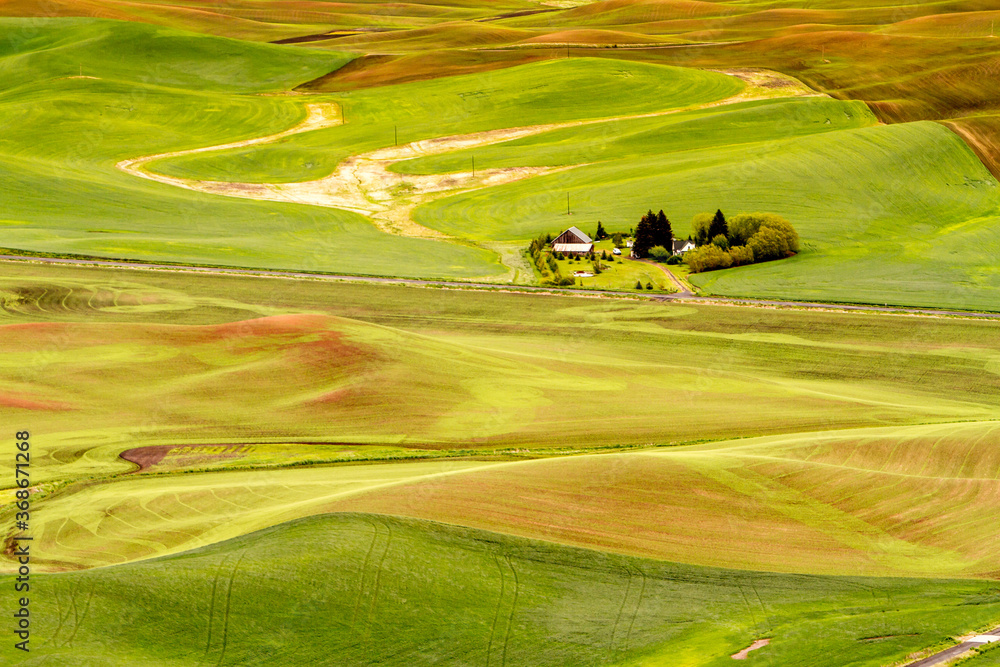 Foto de A view in the spring from Steptoe butte in the Palouse region ...