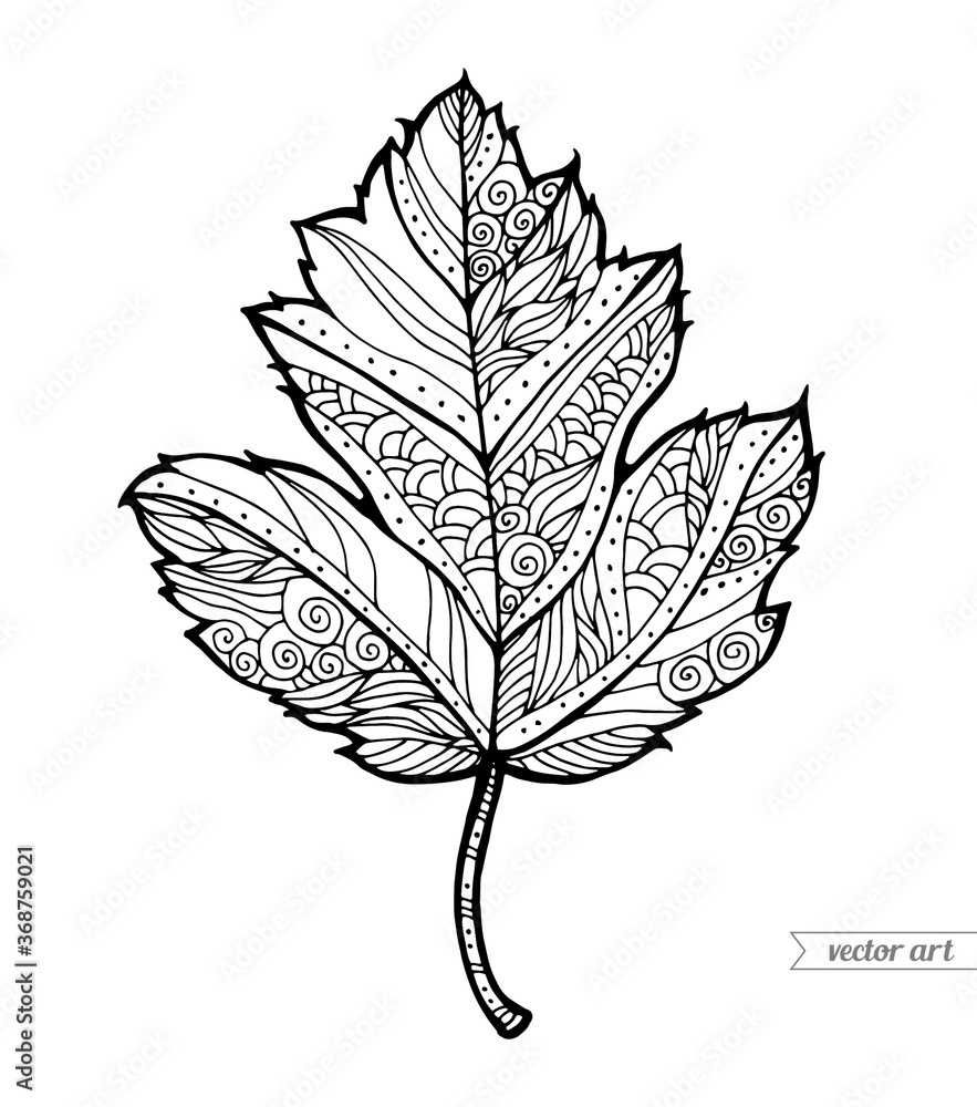 Single autumn leaf. Hand drawn artwork. Zentangle, doodle, tattoo ...