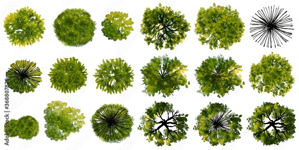 Set of watercolor tree top view for landscape plan and architecture ...