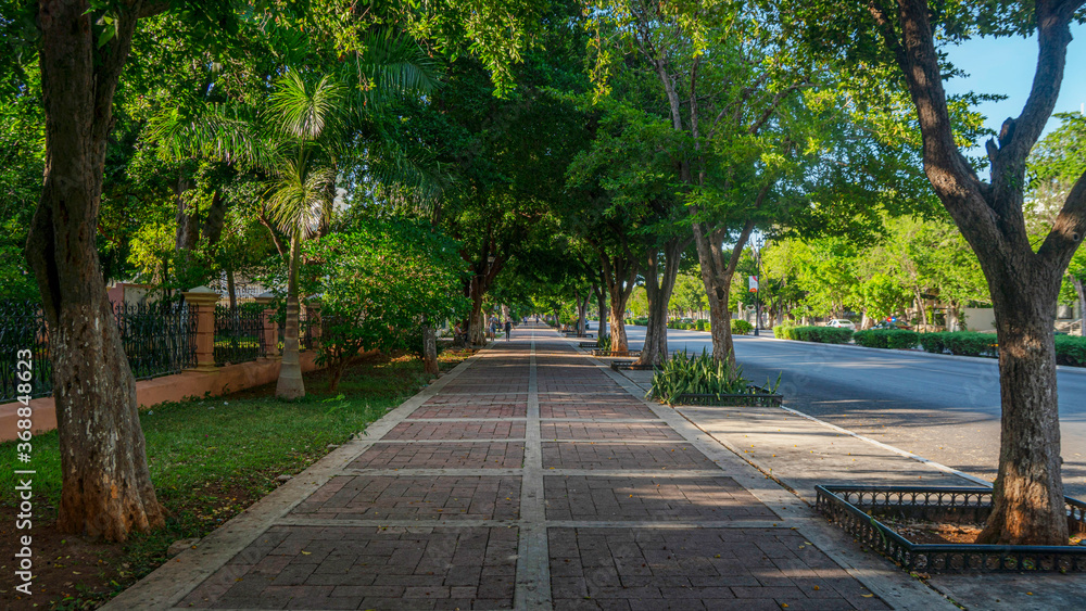 Paseo de Montejo Mérida Yucatán México Stock Photo | Adobe Stock