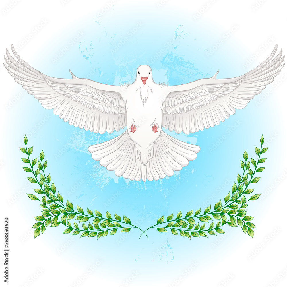 White dove flying with spread wings. Pigeon vector illustration ...