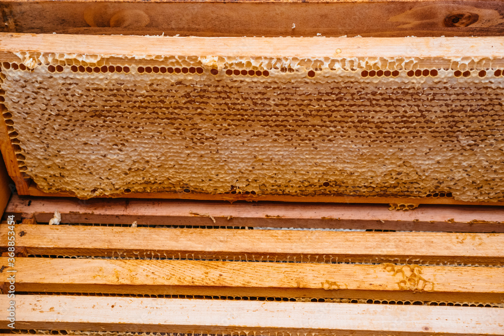 Frame with honeycomb. The honey in the frame is prepared for ...