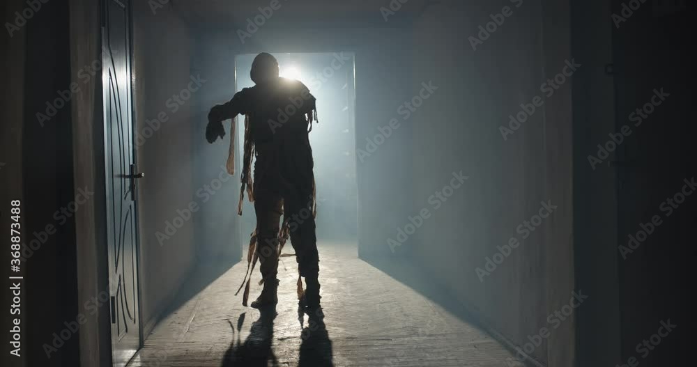 Scary Egyptian mummy creeping down hallway in abandoned cursed house ...