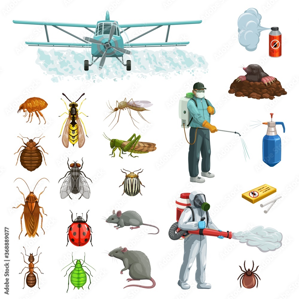 Bug Exterminator Cartoon
