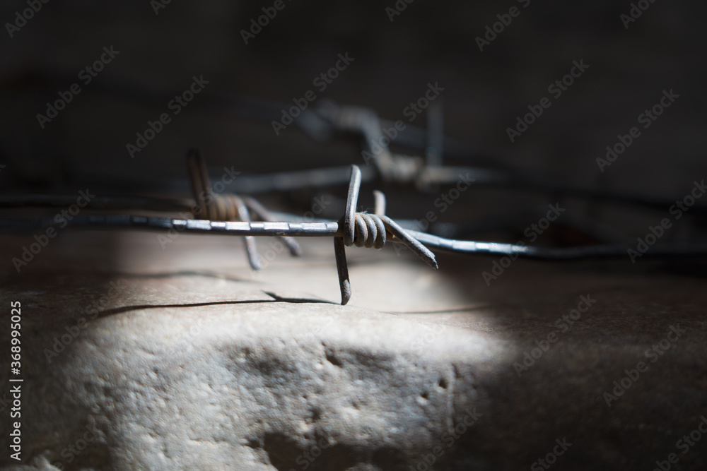 An ancient barbed wire as a symbol of imprisonment, imprisonment and ...