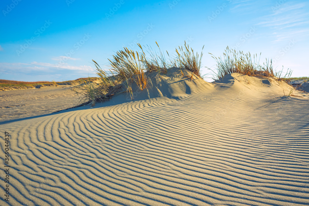 Sand textures at Grey Dunes, Dead Dunes at the Curonian Spit in Nida ...