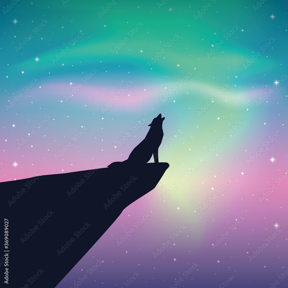 howling wolf looks in the colorful starry sky with aurora borealis ...