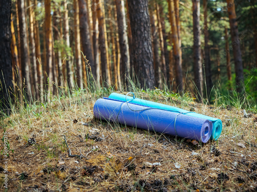 Two yoga mats, blue and purple, lie in the forest on a hill, in the sun ...