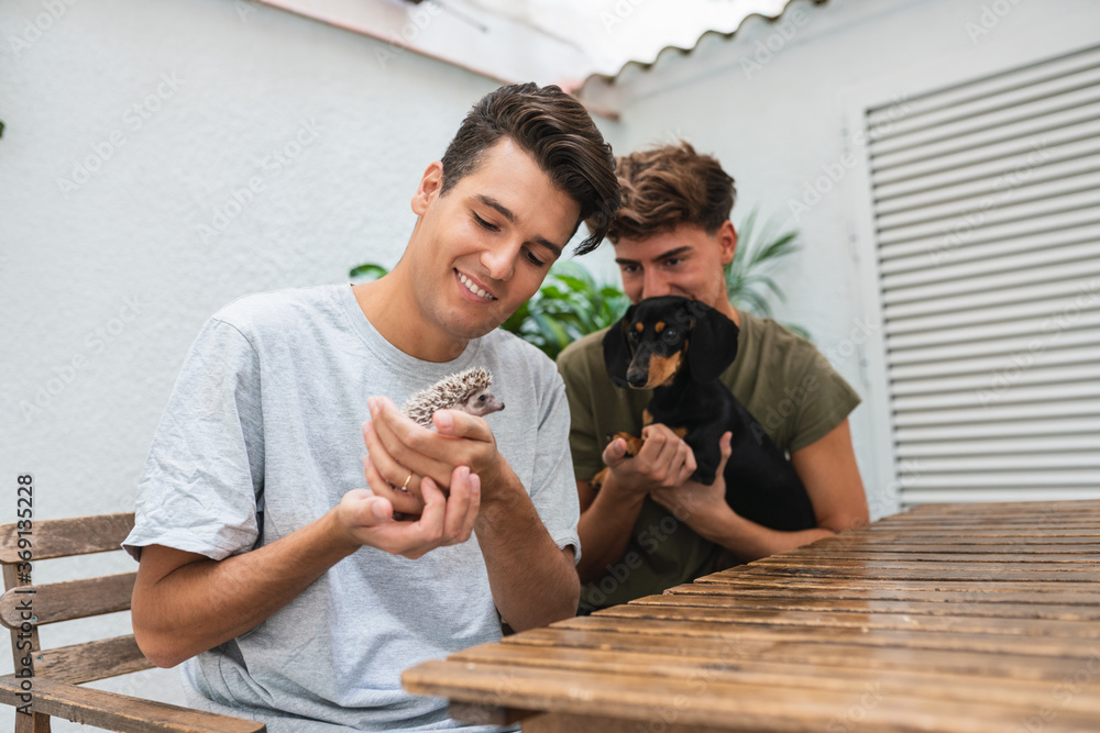 gay couple having fun with animals Stock Photo | Adobe Stock