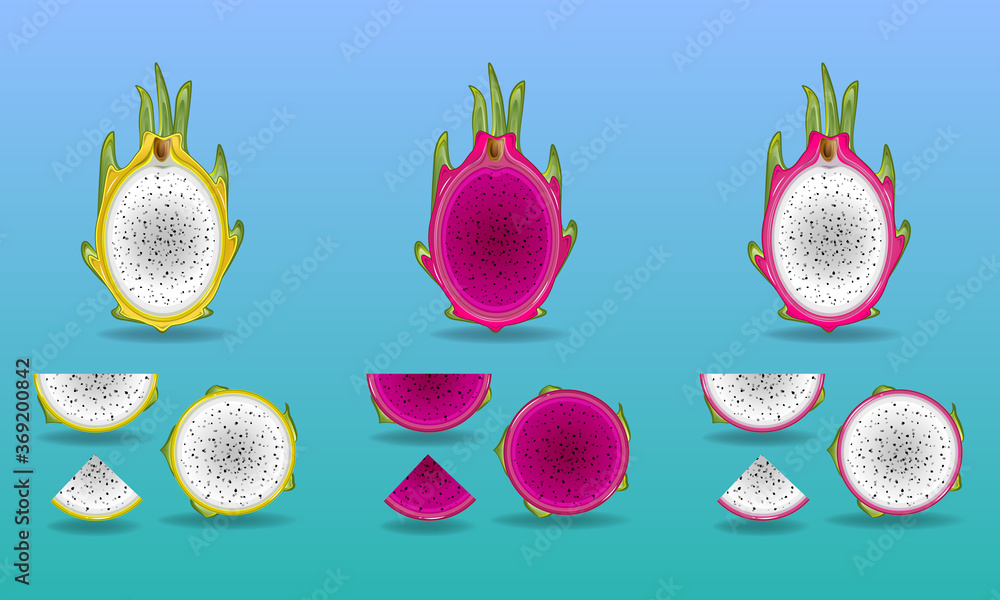 Vector Dragon fruit, pitaya or pitahaya is summer tropical fruits for ...