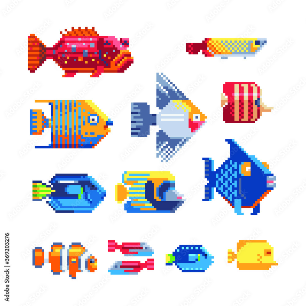 Tropical fish icon set. Flat illustration sea color tropical fish ...