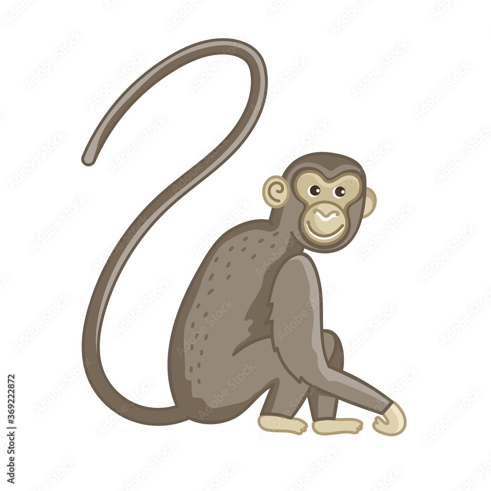 Spider monkey. Isolated wild ape with long tail. Cute primate mammal ...