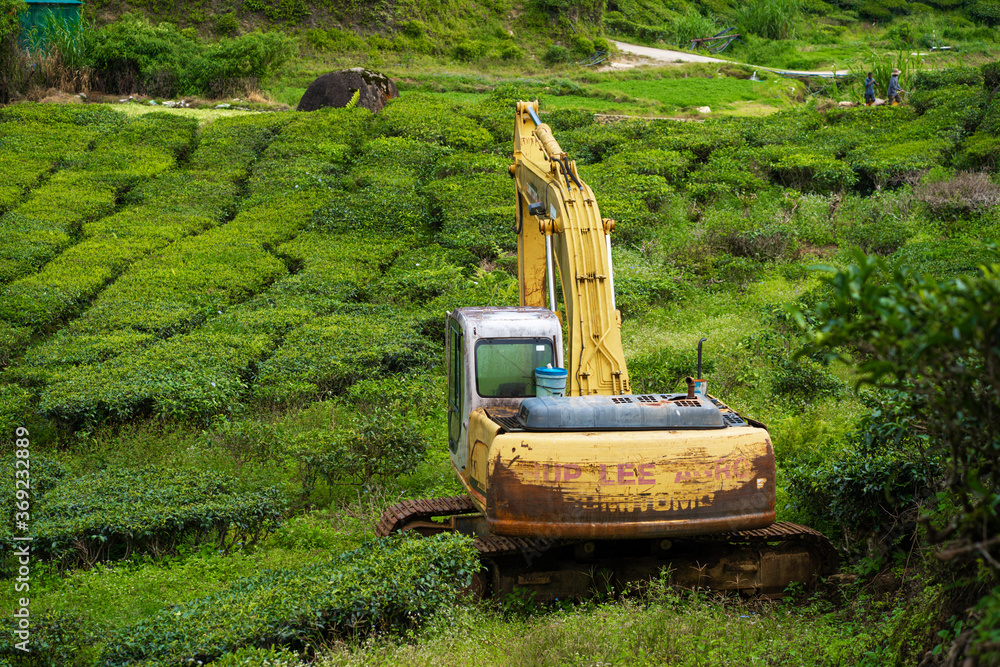 An abandoned excavator in the middle of a tea plantation. Heavy ...