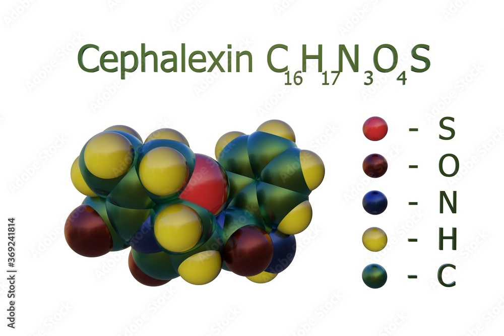 Structural chemical formula and molecular model of cephalexin, a beta ...