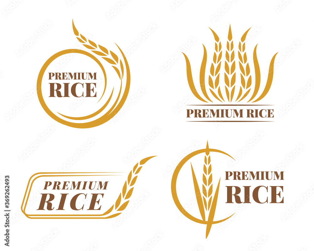 Rice emblems labels badges collection , gold paddy rice logo vector ...