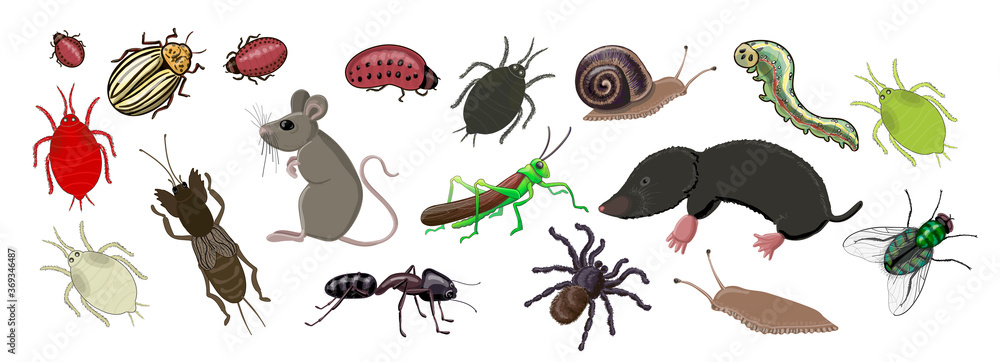 A set of animal pests of fields and gardens - mole, mouse, locust, fly ...