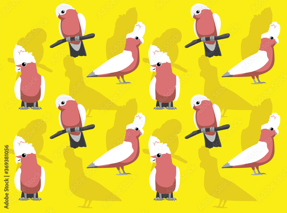 Animal Australian Galah Parrot Cockatoo Cute Cartoon Background ...