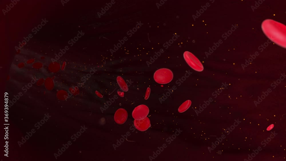 Circulatory system inside human blood vessels. Animation of human blood ...