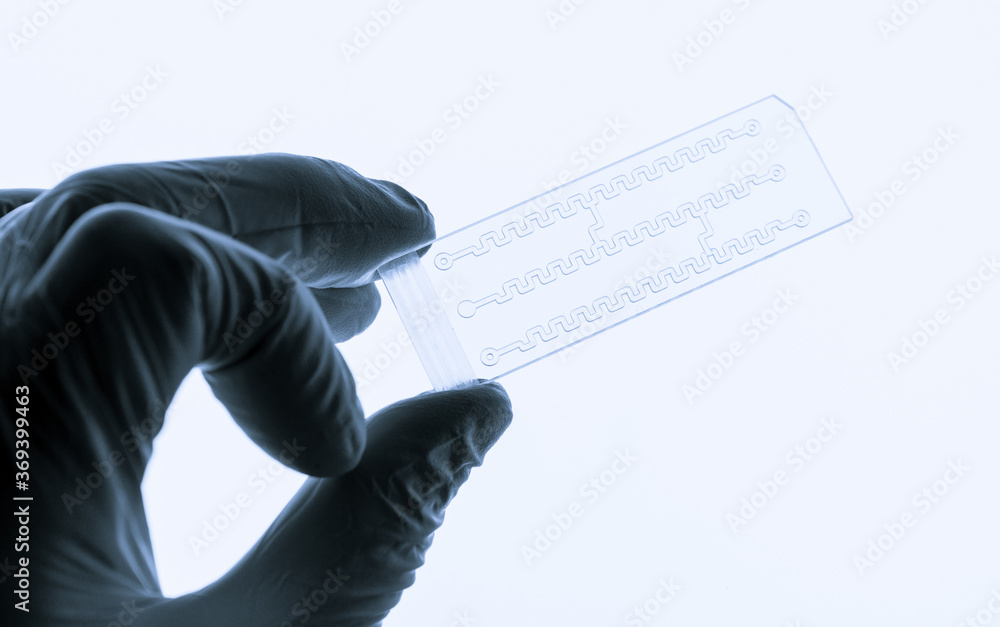 Organ on chip OOC and lab on chip LOC - microfluidic device chip that ...