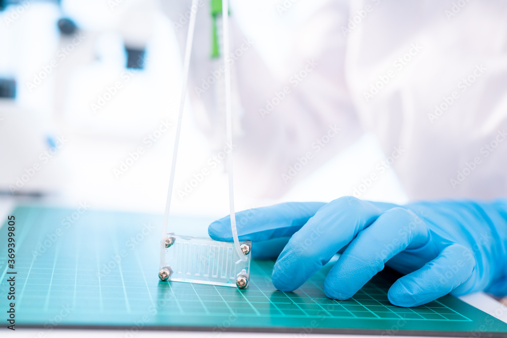 Organ-on-a-chip (OOC) - microfluidic device chip that simulates ...