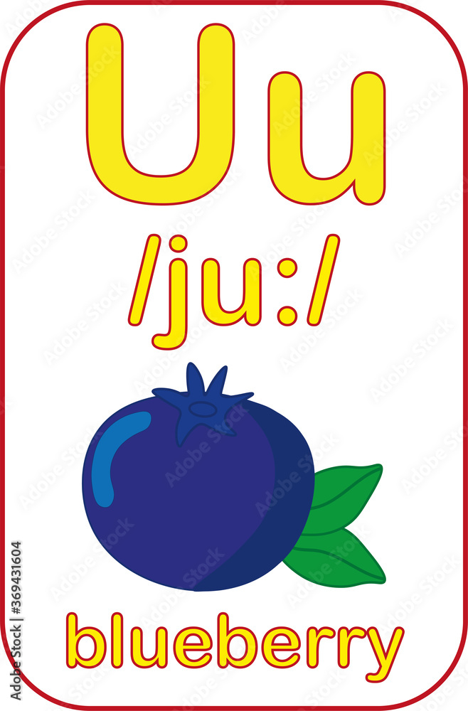 Letter U. Alphabet tutorial cards collection. Vector illustration ...