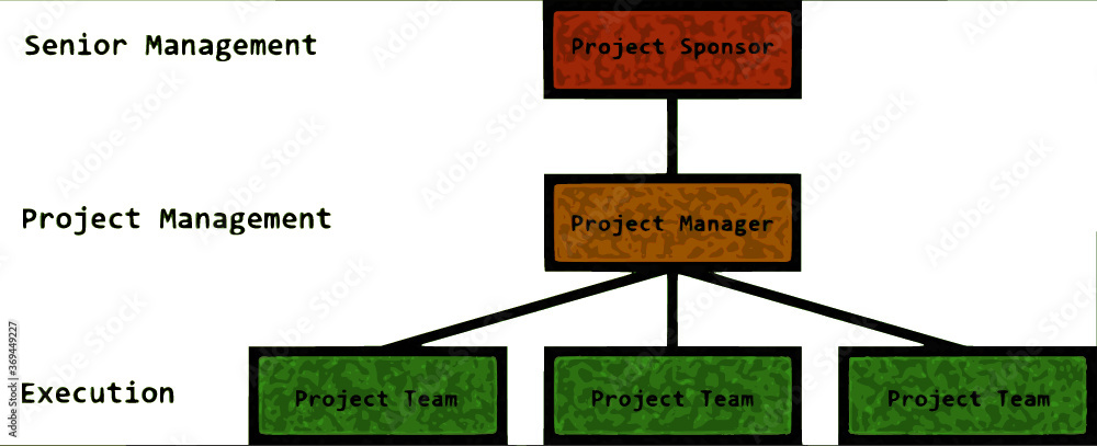 Project Organization, English Text, A Graph showing the basic principle ...