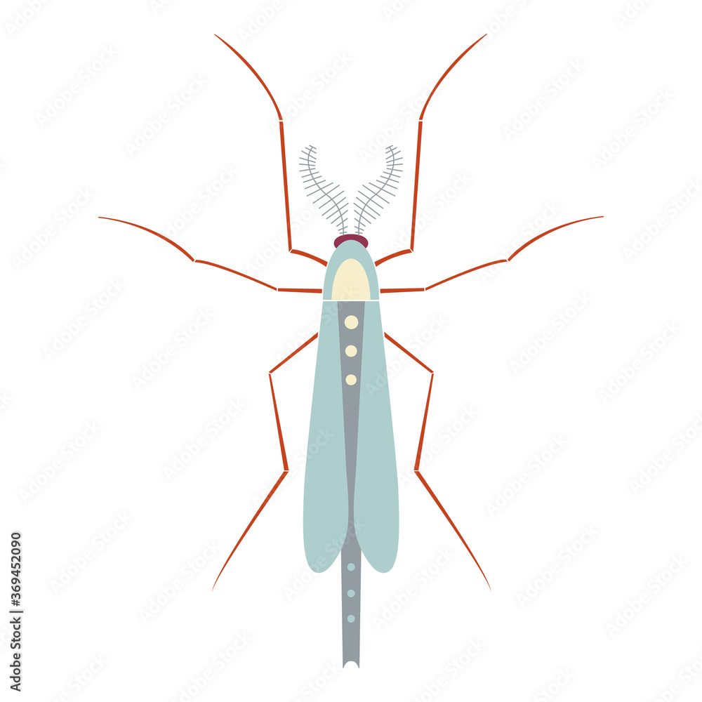 Mosquito insect view from above. Isolated insect cartoon vector ...