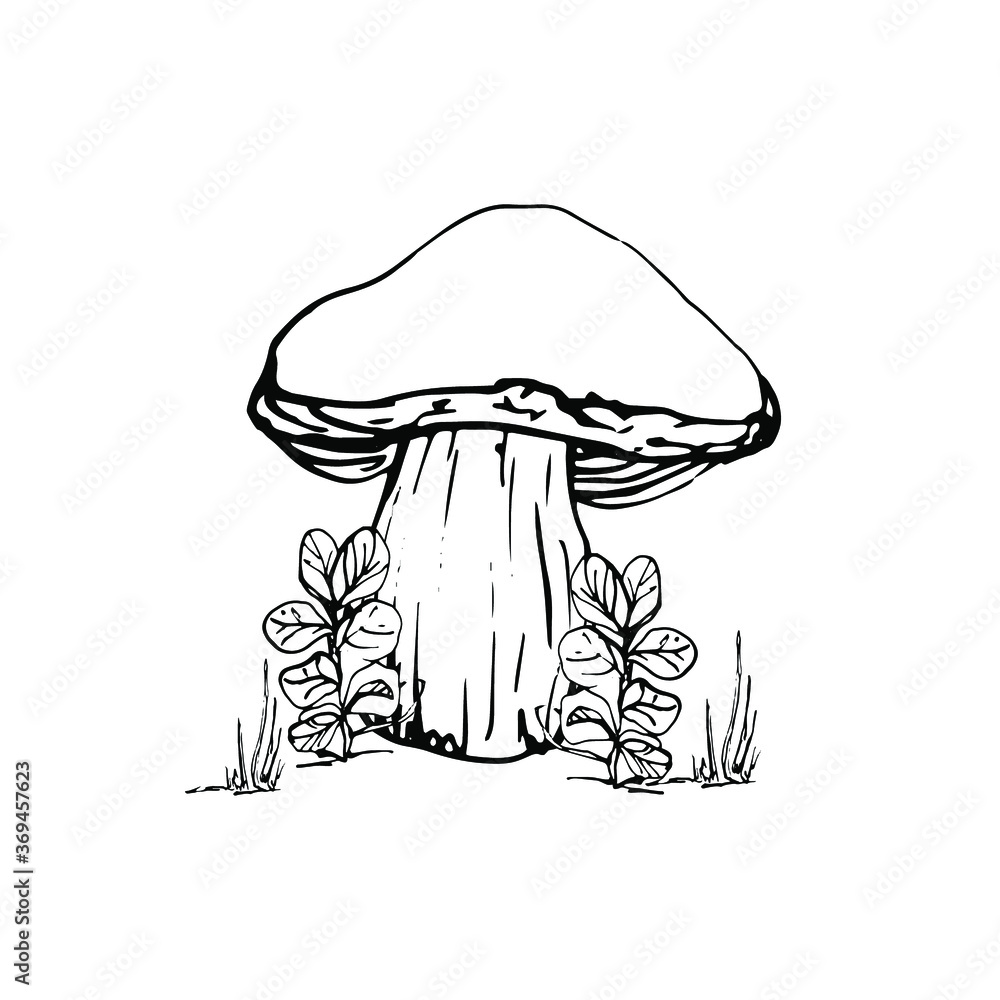 Drawing with a mushroom. Handmade graphics. Edible mushrooms and ...