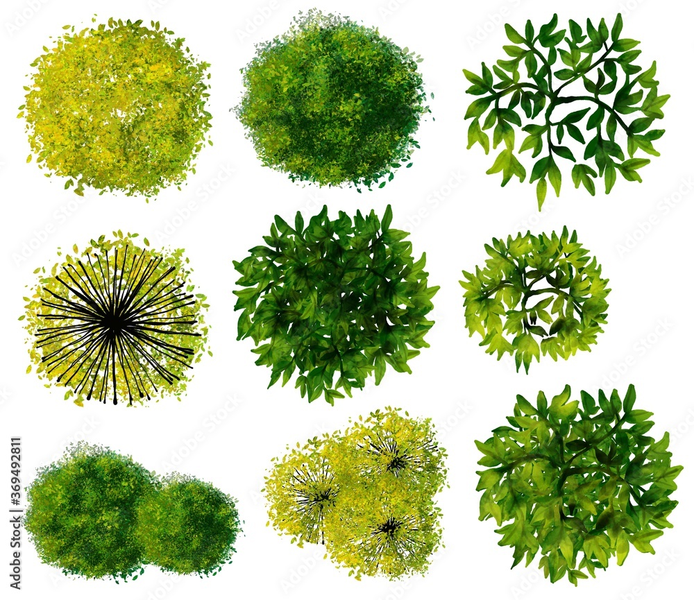 Set of watercolor tree top view for landscape plan and architecture layout Stock Illustration ...