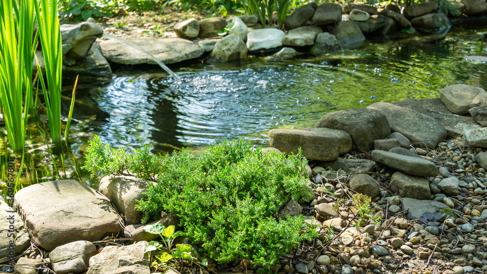 Beautiful small garden pond with frog-shaped fountain and stone shores ...