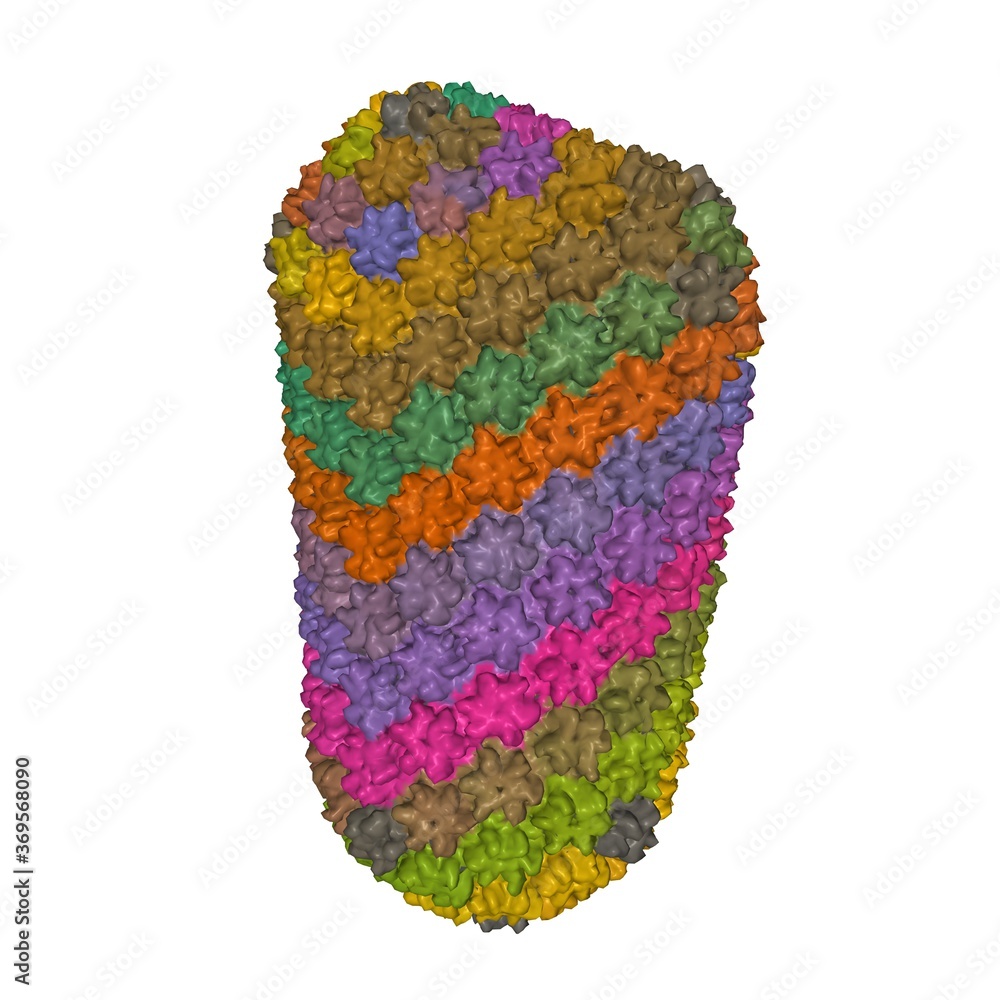 Structure of the HIV-1 capsid, 3D surface model, white background ...