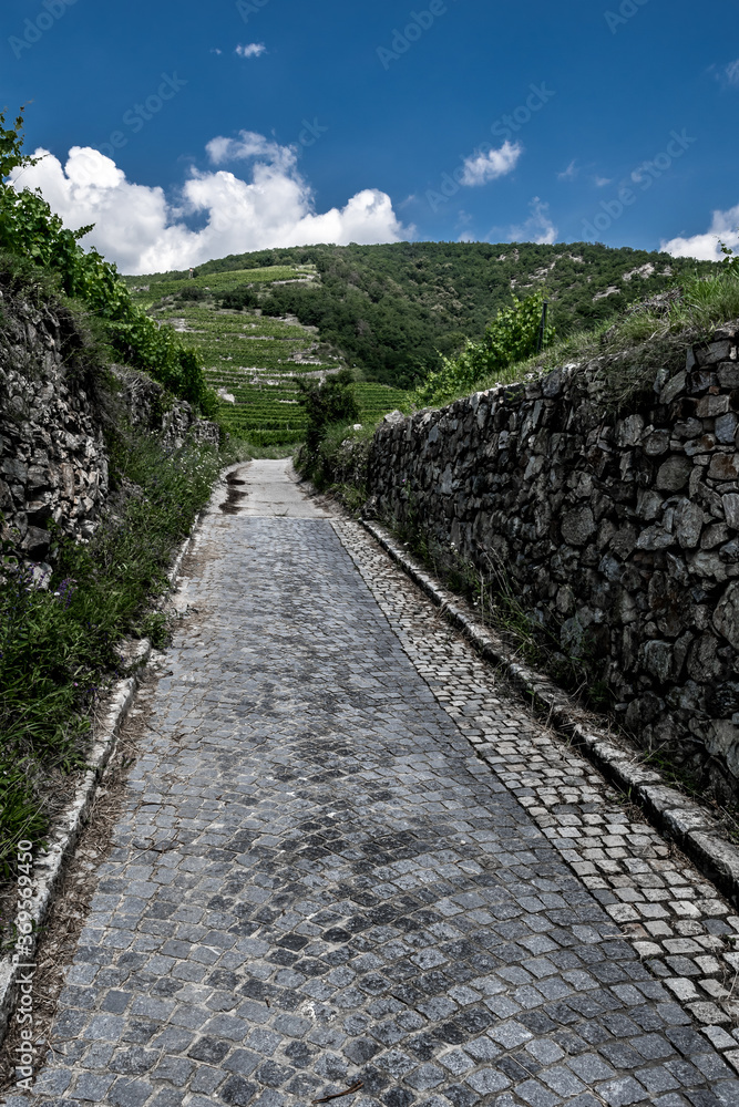 Narrow Cobblestone Road Between Stone Walls To Hil With Vineyard ...