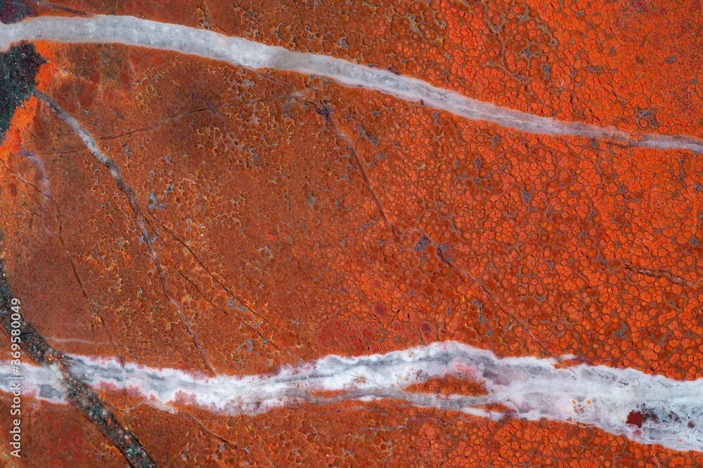 Full-screen texture of red Jasper with a spotted pattern and two white ...