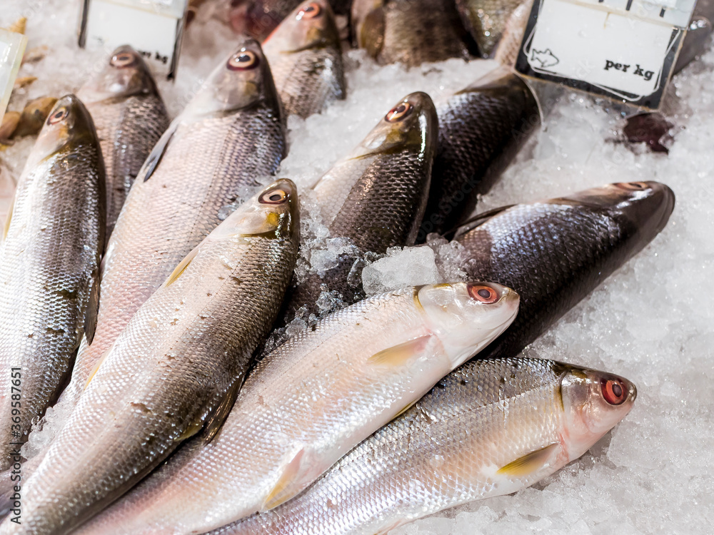 Bangus or Milkfish on display at the fish section of the supermarket ...