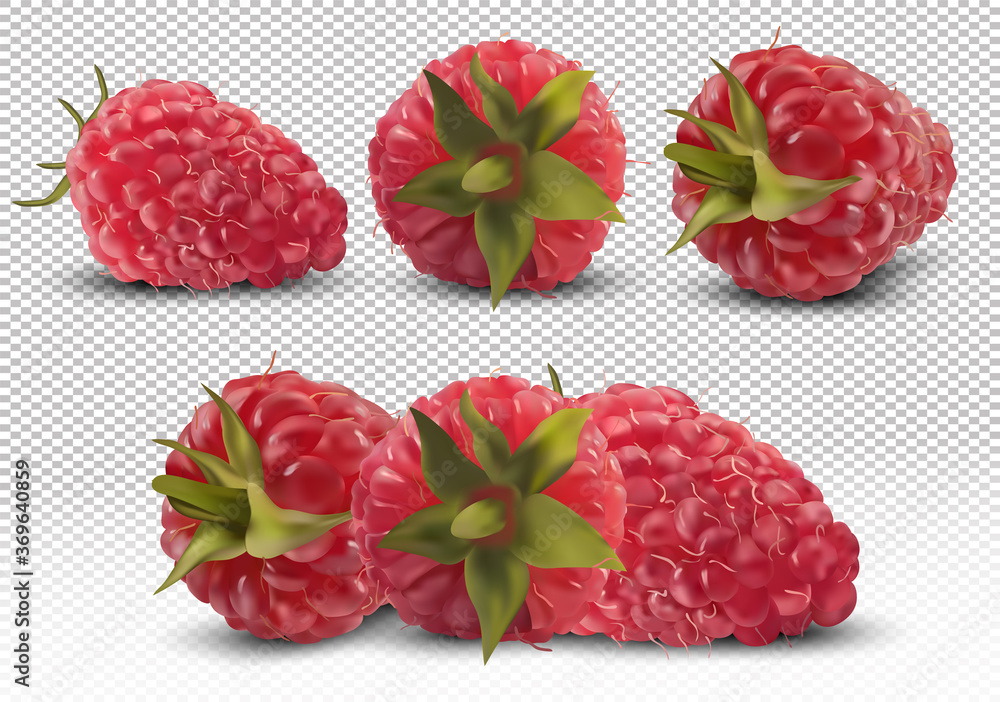 Set of raspberry from different angles on transparent background ...