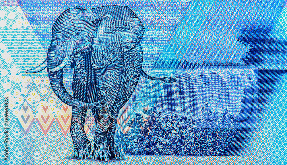 Elephant in Zimbabwe, Portrait from Zimbabwe 10 Dollars 2019 Banknotes ...
