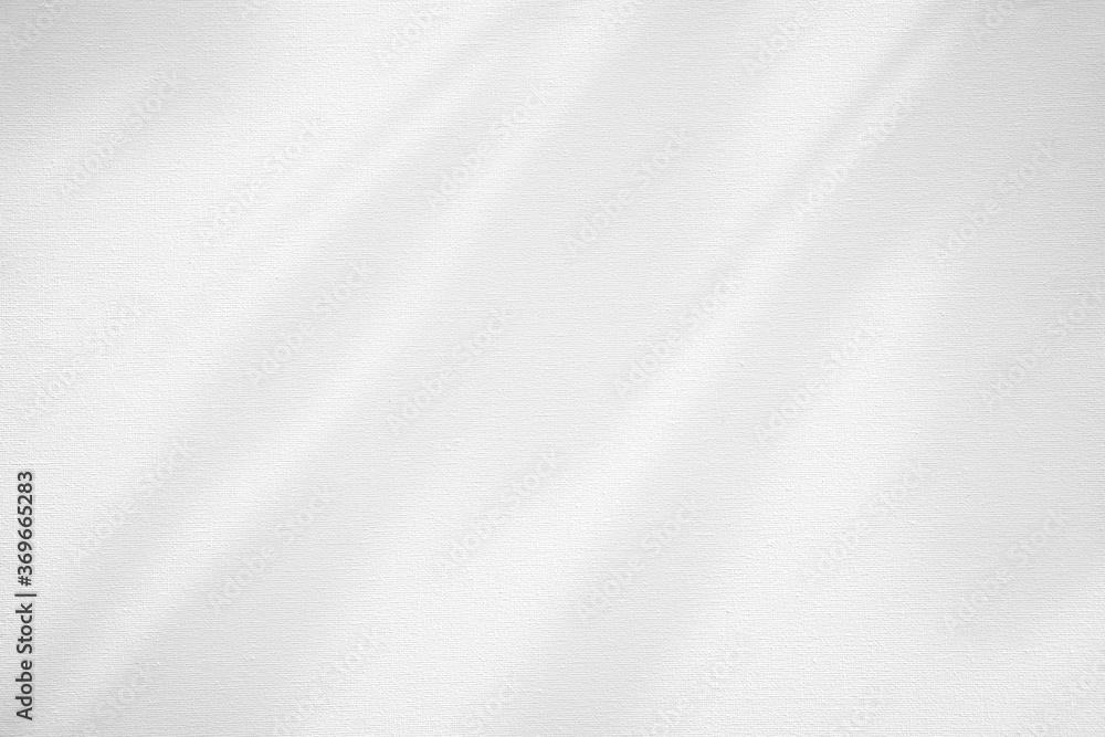 Leaves natural shadow overlay on white texture background, for overlay ...