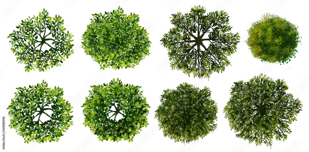 Set of watercolor tree top view for landscape plan and architecture ...