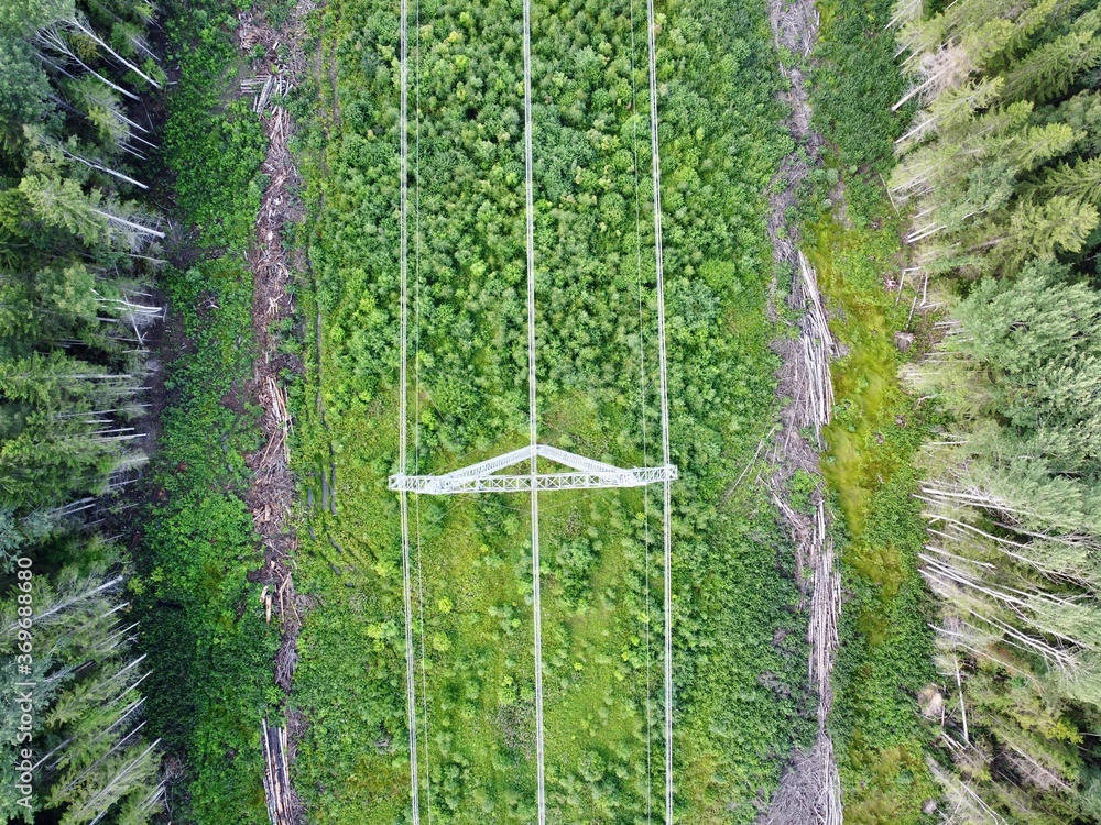 Aerial top down view of the power lines located in the forest. Stock ...