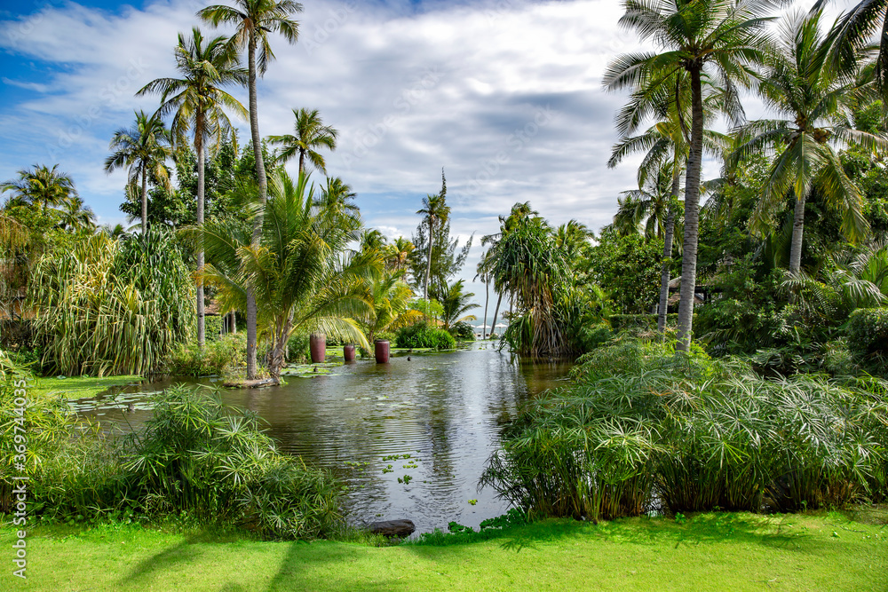 Tropical palm park with a lake on the shores of the South China Sea in ...