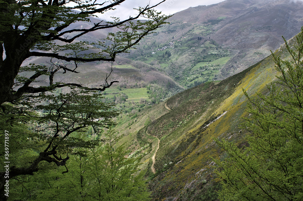 Spectacular high mountain landscape with beautiful forests, spectacular ...