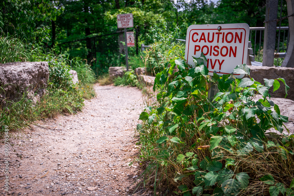 sign dangerous plant "poison ivy". Plant and sign Stock Photo | Adobe Stock