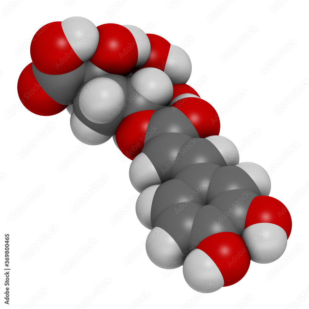 Chlorogenic acid herbal molecule. 3D rendering. Atoms are represented ...