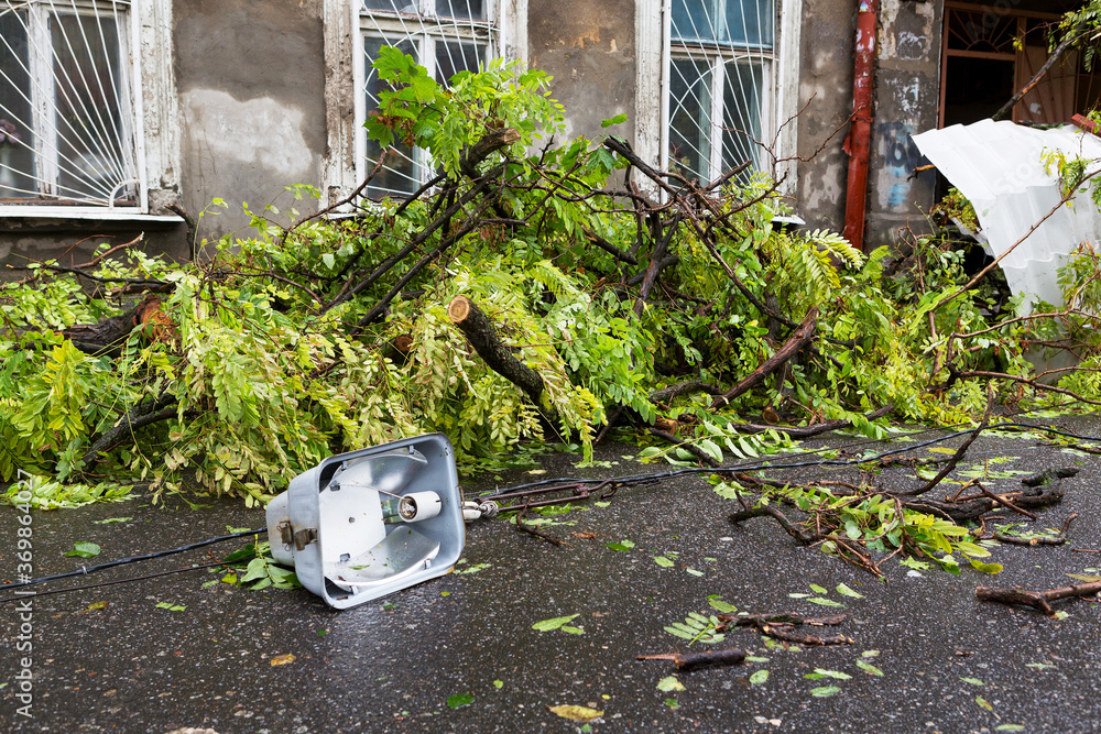 Hurricane CHRISTIE. Heavy rain and gale - force gusts of wind caused ...